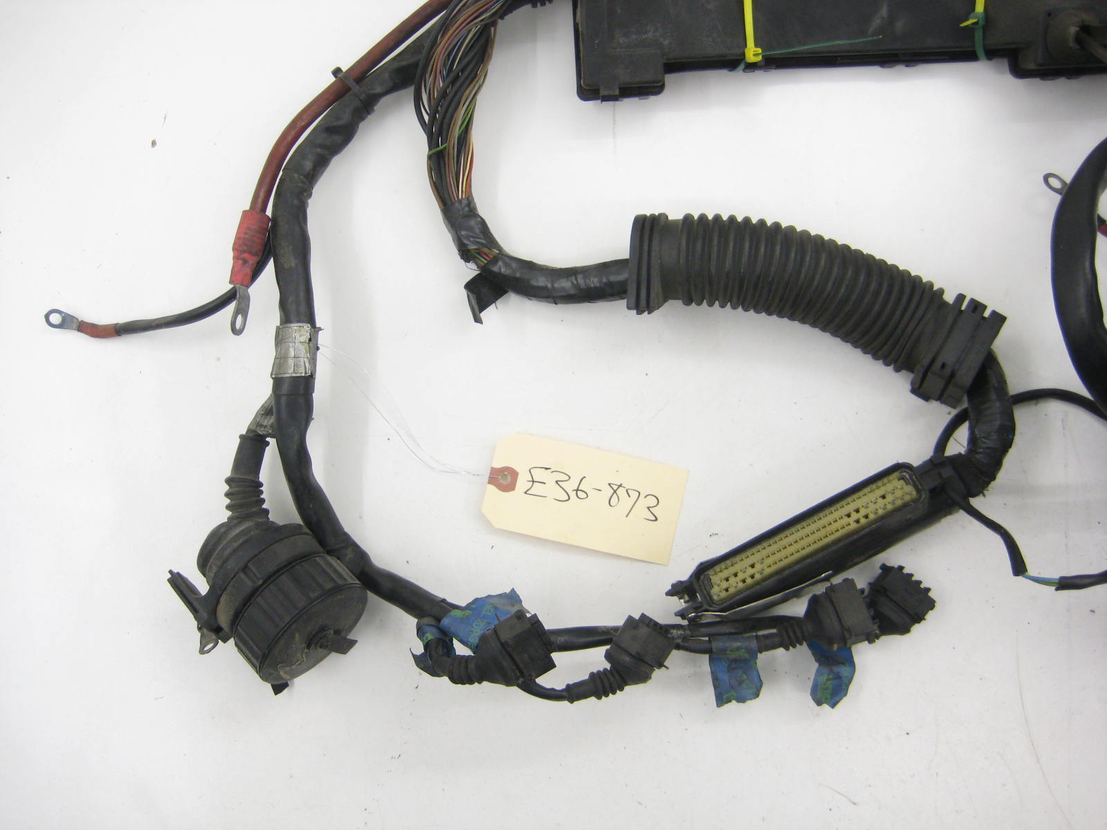 M42 Engine Harness E36 - Classic Daily